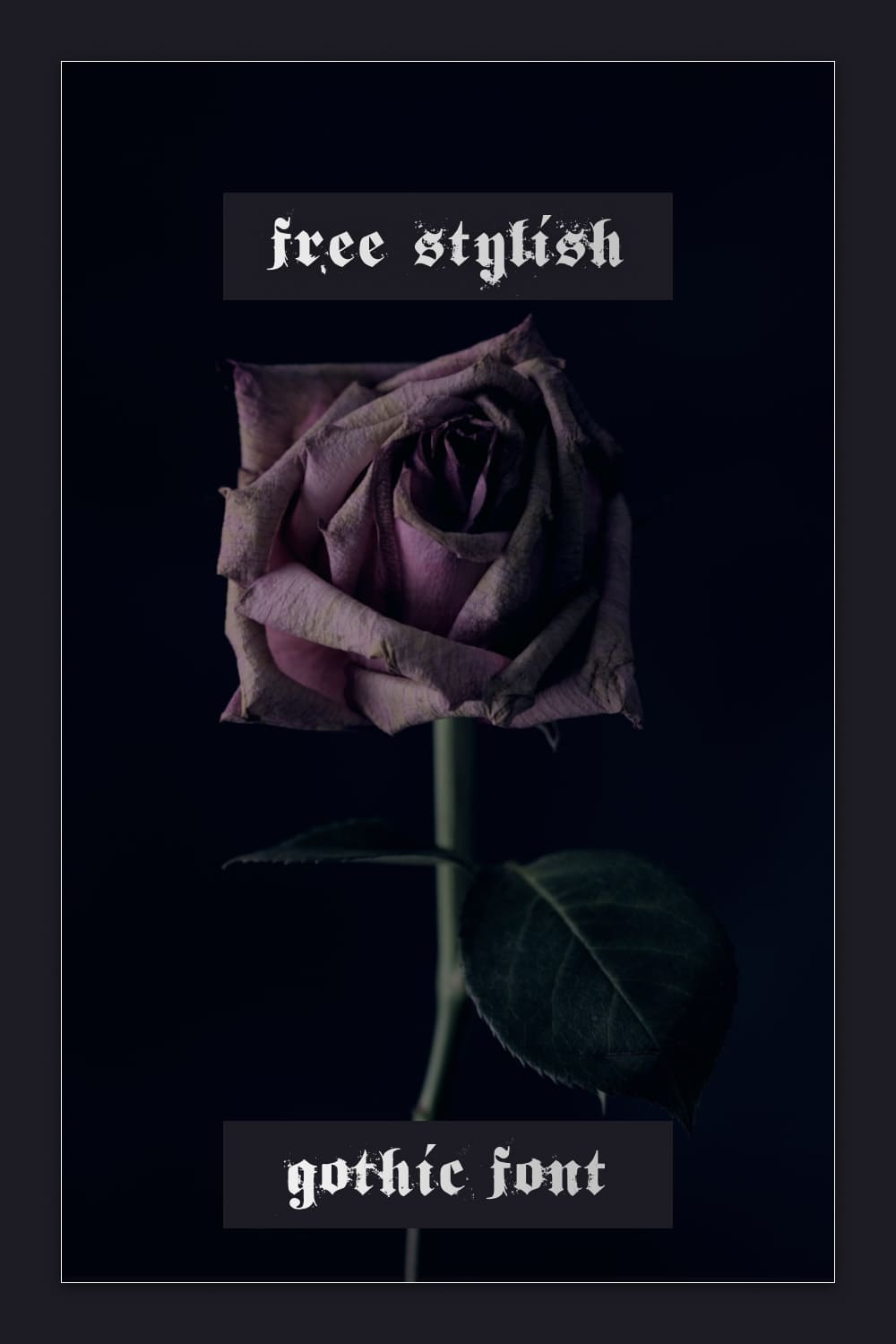 Free Stylish Gothic Font – MasterBundles