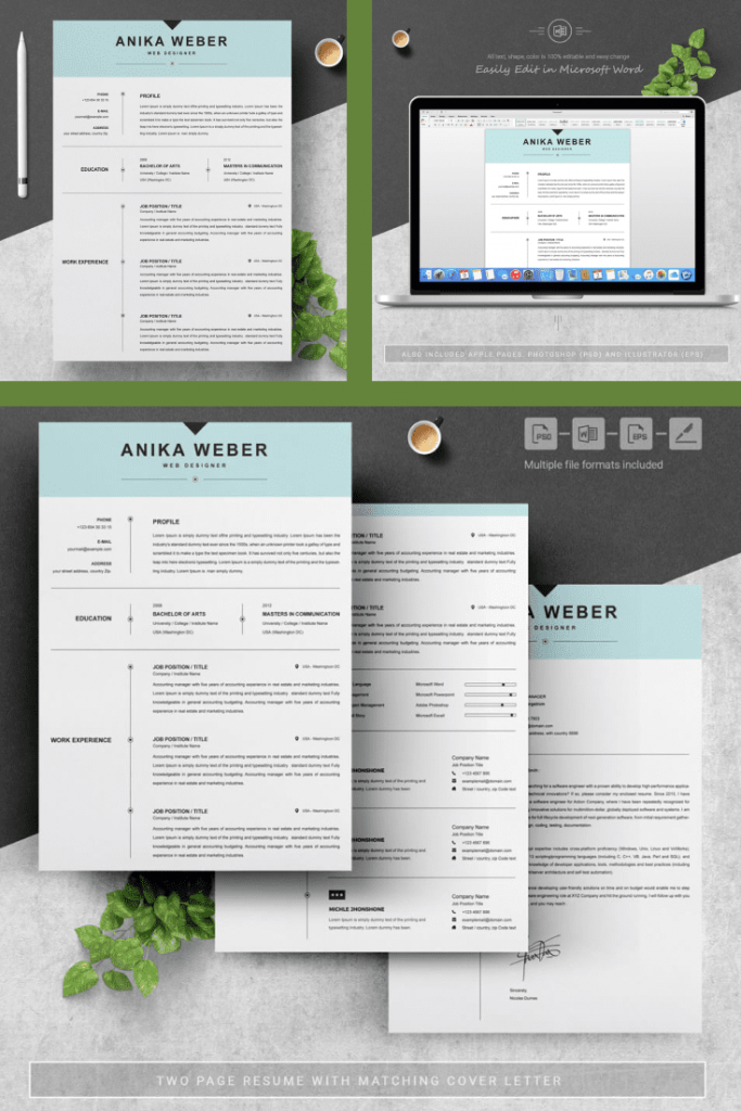 Functional Resume Design Template