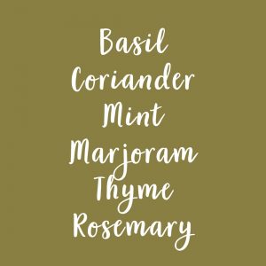 Garden Grown Font Free – MasterBundles