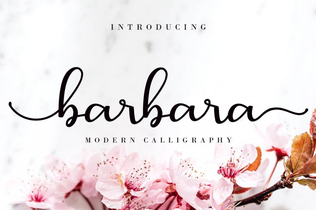 Barbara Calligraphy Script Font – MasterBundles