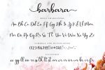 Barbara Calligraphy Script Font – MasterBundles