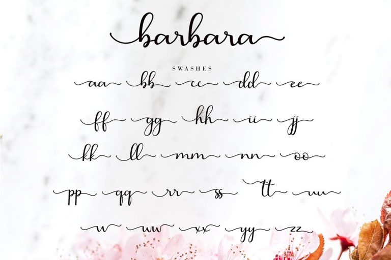 Barbara Calligraphy Script Font – MasterBundles