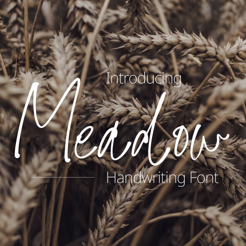Meadow Handwriting Font – MasterBundles