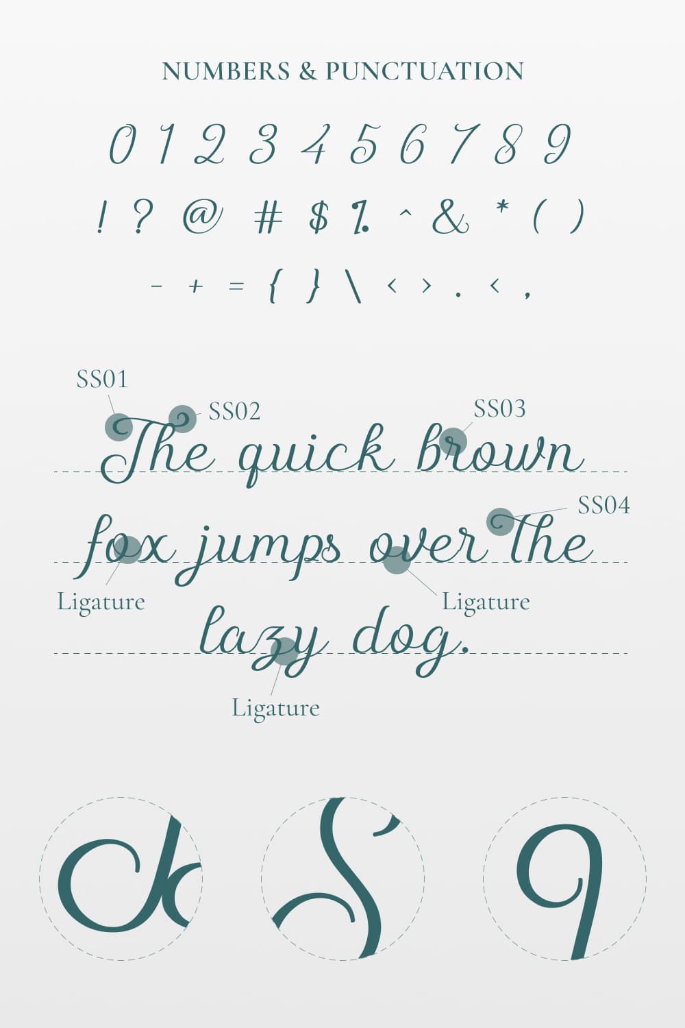 Shelly Free Script Font – MasterBundles