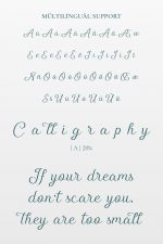 Shelly Free Script Font – MasterBundles