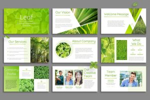 Leaf - Powerpoint Template – MasterBundles