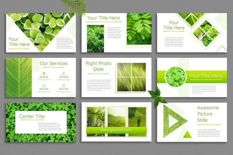 Leaf - Powerpoint Template – MasterBundles