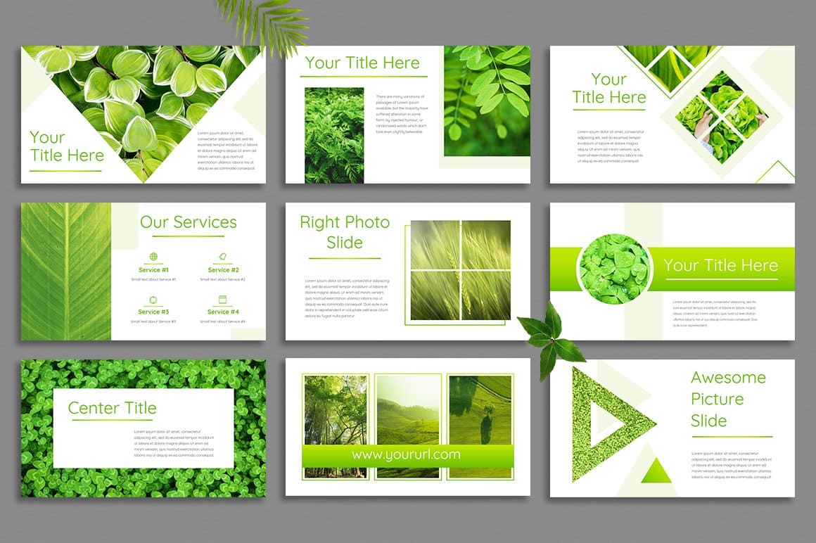 Leaf - Powerpoint Template – MasterBundles