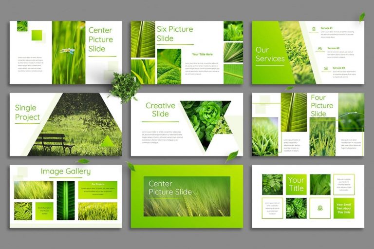 Leaf - Powerpoint Template – MasterBundles