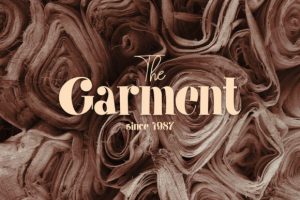 Carole Elegant Serif Font – MasterBundles