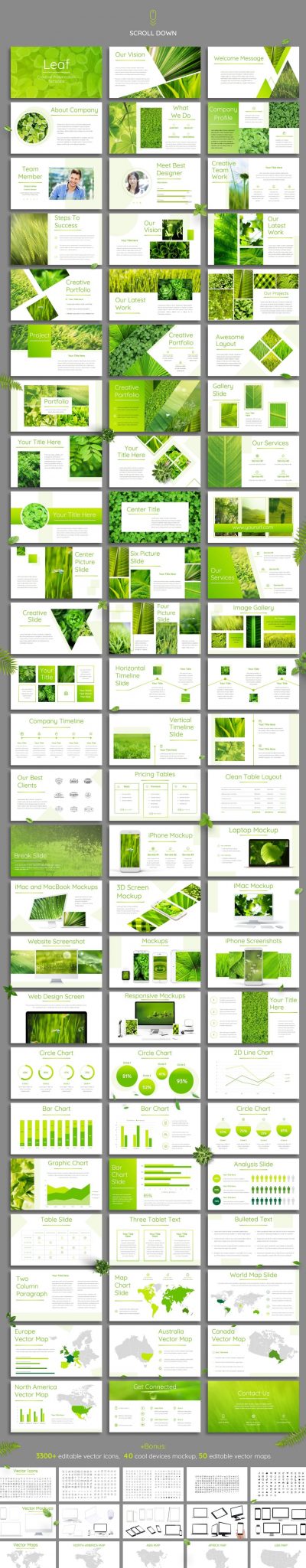 Leaf - Powerpoint Template – MasterBundles