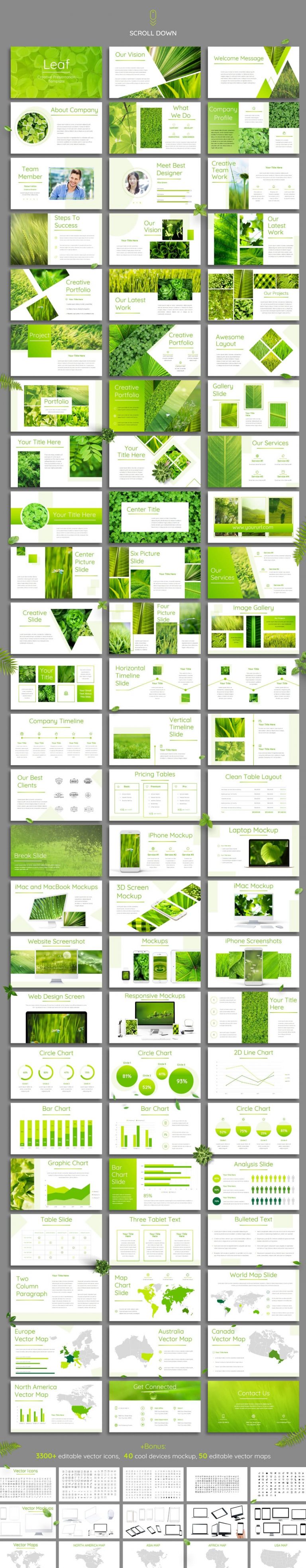 Leaf - Powerpoint Template – MasterBundles