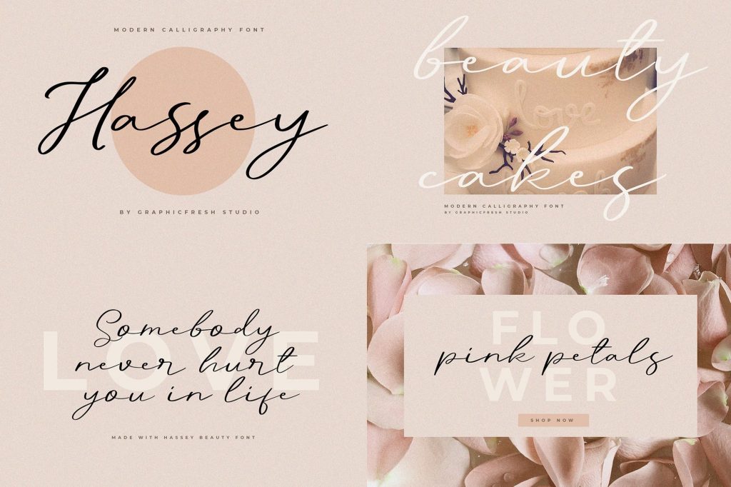 The Modern Signature Font Bundle – MasterBundles