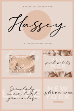 Hassey - A Modern Calligraphy Font – MasterBundles