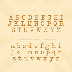 Sequoia Serif Monospaced Font – MasterBundles