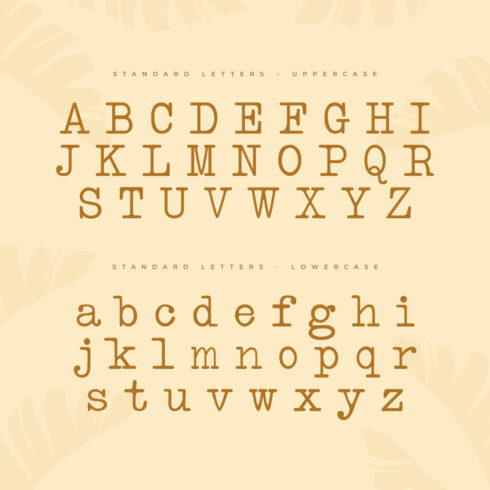 Sequoia Serif Monospaced Font – MasterBundles