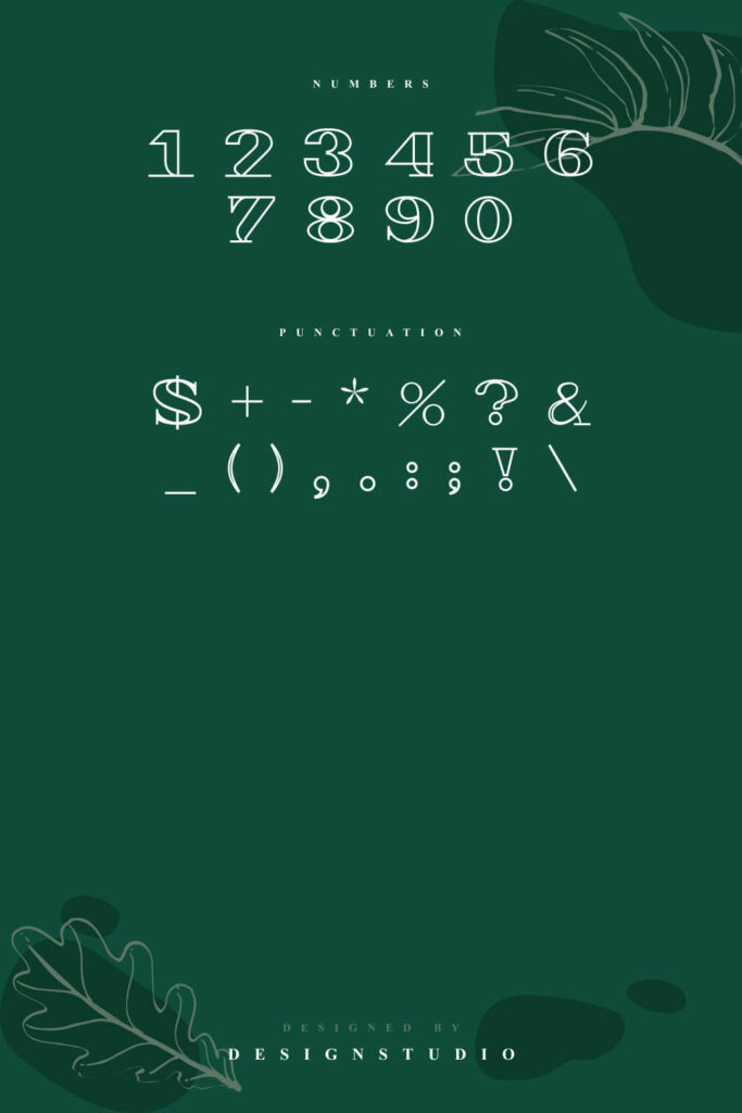 Solitude Serif Monospaced Font – MasterBundles