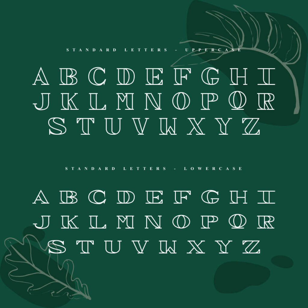 Solitude Serif Monospaced Font – MasterBundles