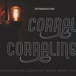 Font Bundle Collection: 19 Fonts | Master Bundles