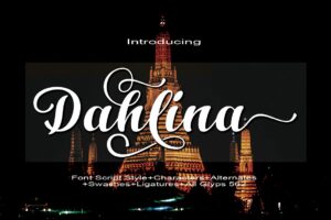 Font Bundle Collection: 19 Fonts – MasterBundles