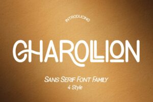 Font Bundle Collection: 19 Fonts – MasterBundles