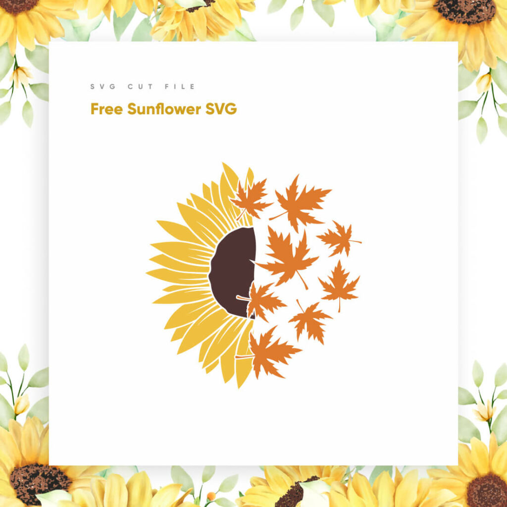 Free Sunflower SVG – MasterBundles