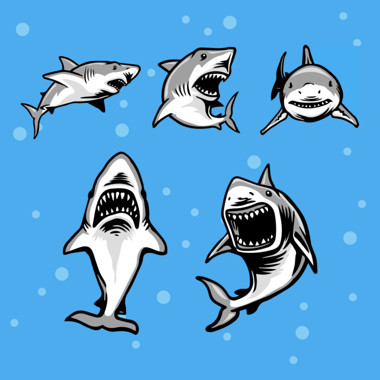 Shark SVG Files Bundle – MasterBundles