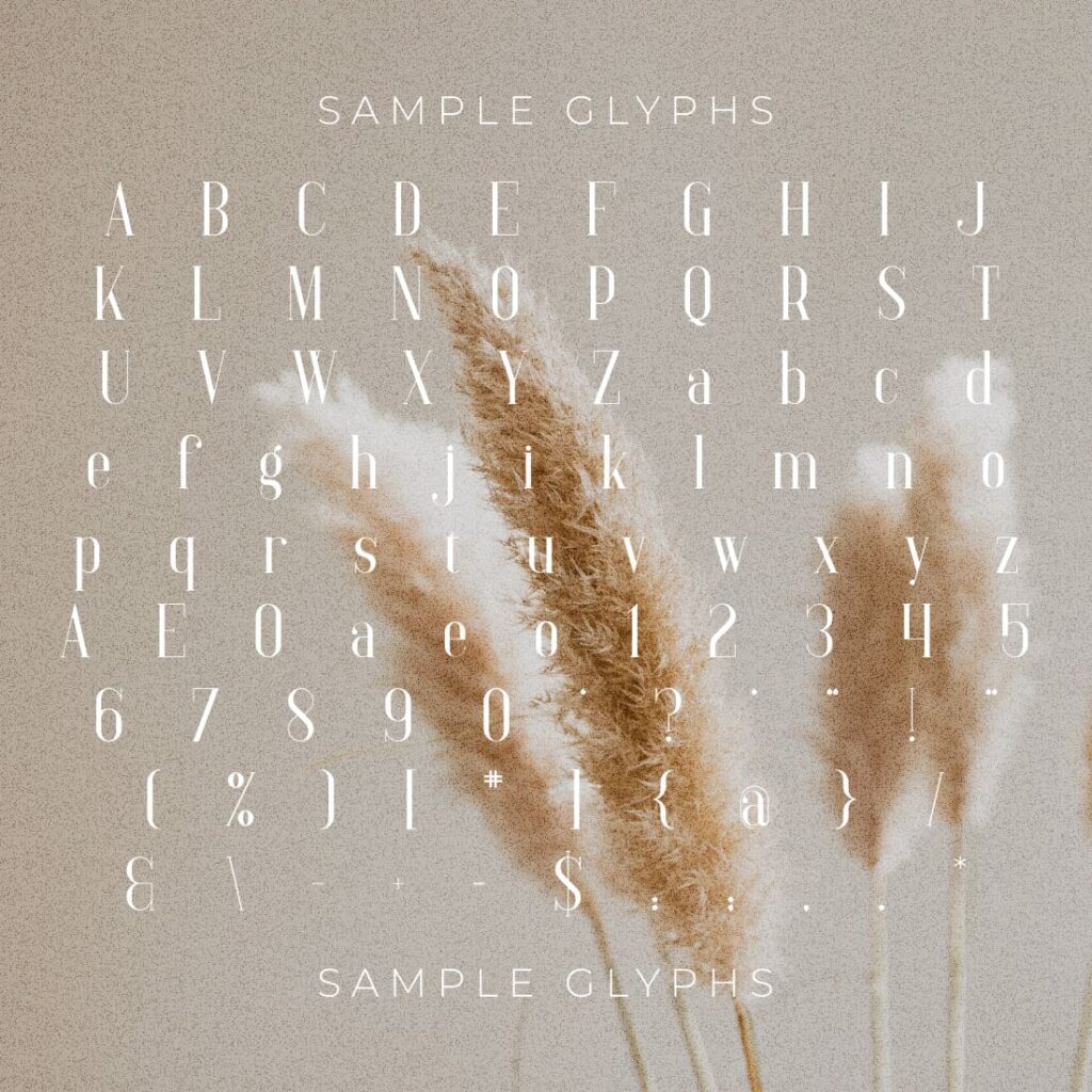 Gigantic Slab Fonts Bundle: 16 Cool Fonts – MasterBundles