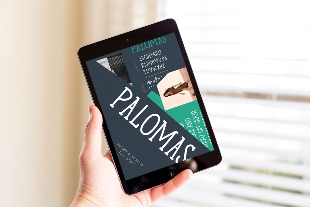Palomas Casual Serif Font – MasterBundles