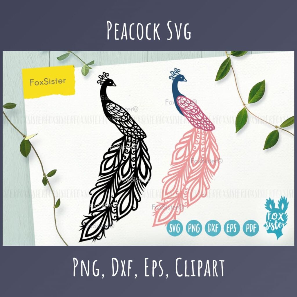 Peacock Feather SVG – MasterBundles