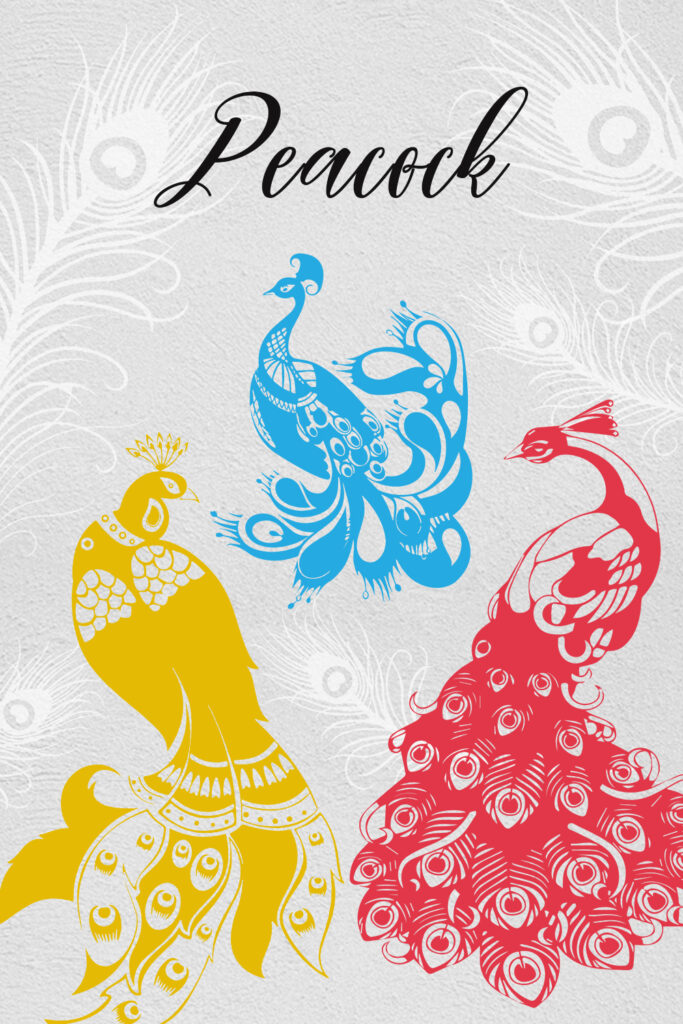 Peacock SVG Files Pack | Master Bundles