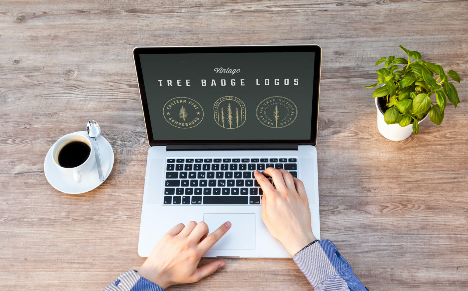 Vintage Tree Badge Logos – MasterBundles