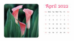 10 Free Printable April Calendars 2022 – MasterBundles
