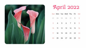 10 Free Printable April Calendars 2022 – MasterBundles