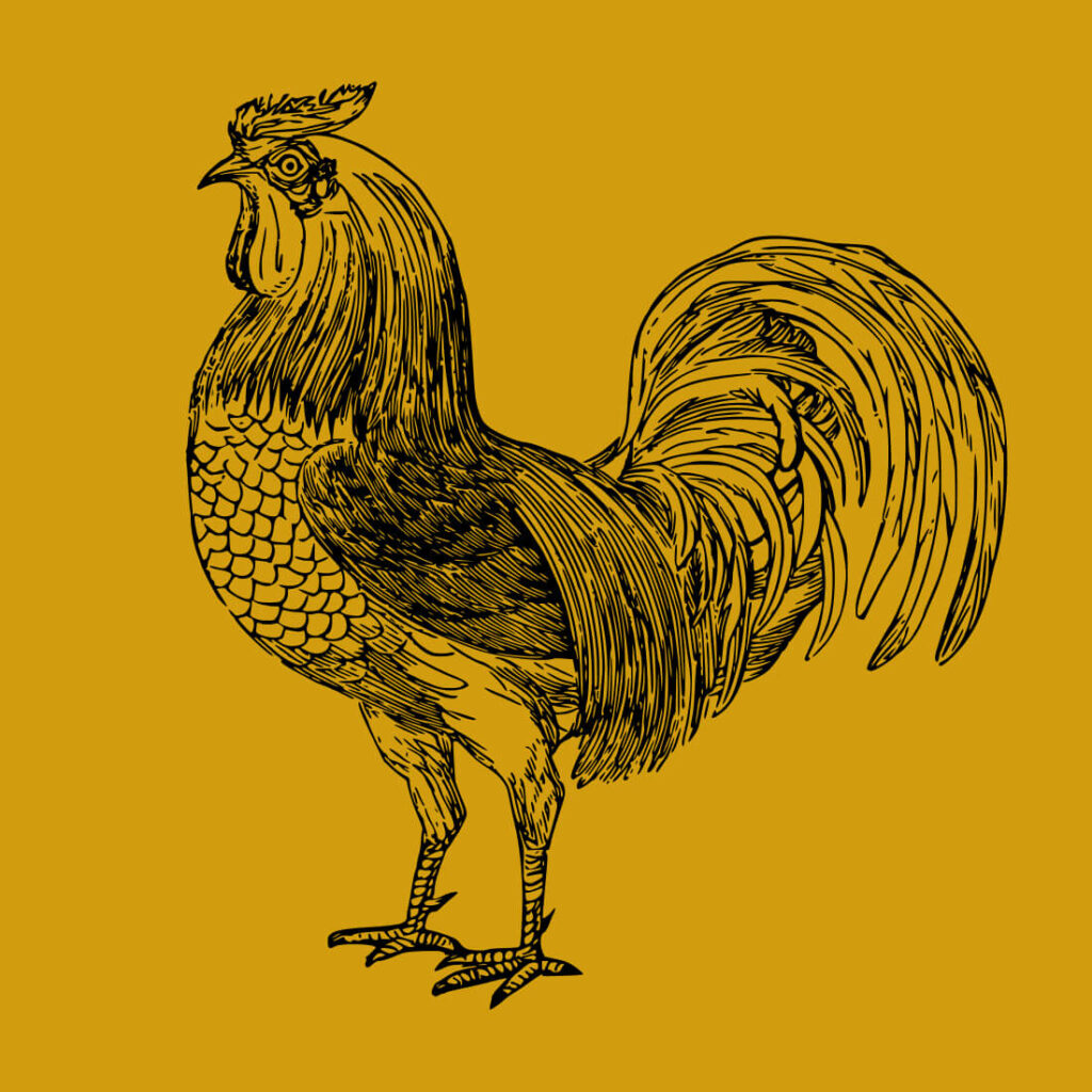 Free Cockerel Bird Cock SVG – MasterBundles