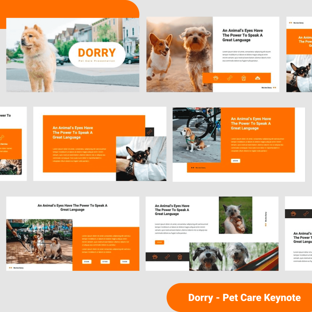 Dorry - Pet Care Keynote – MasterBundles