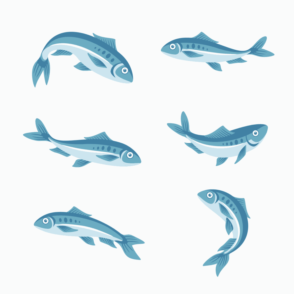 Fish SVG Files Bundle – MasterBundles