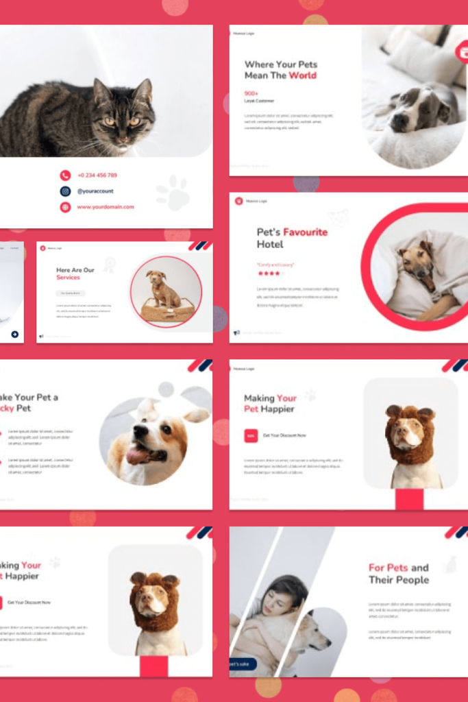 Muessa Petcare Powerpoint – MasterBundles