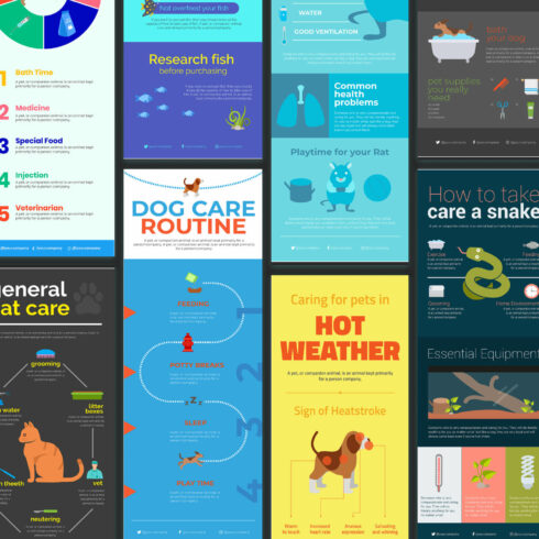 Pet Care Infographics Bundle – MasterBundles