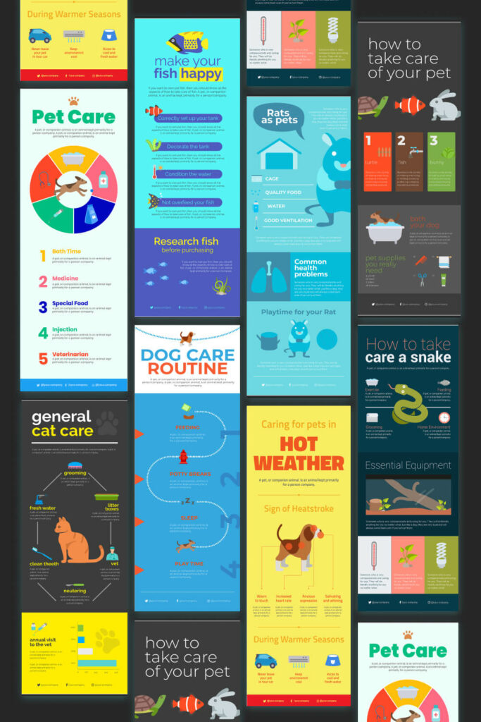 Pet Care Infographics Bundle – MasterBundles