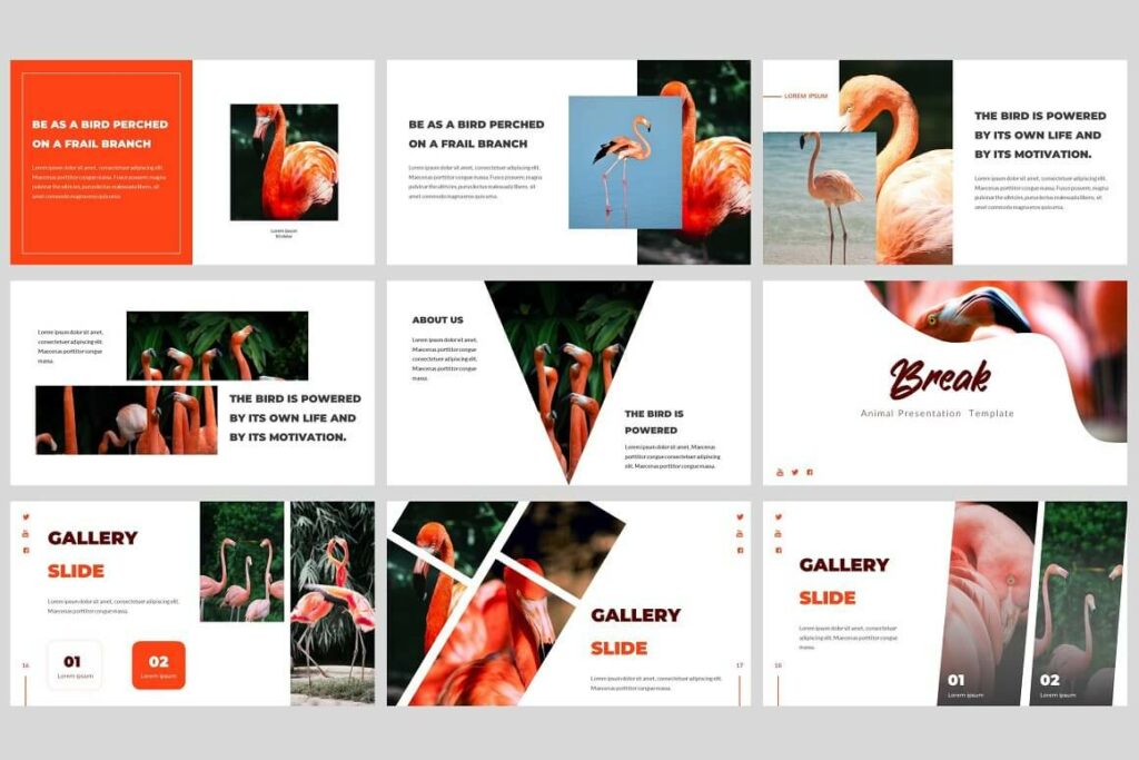 Mingoflam - Animals Google Slides – MasterBundles