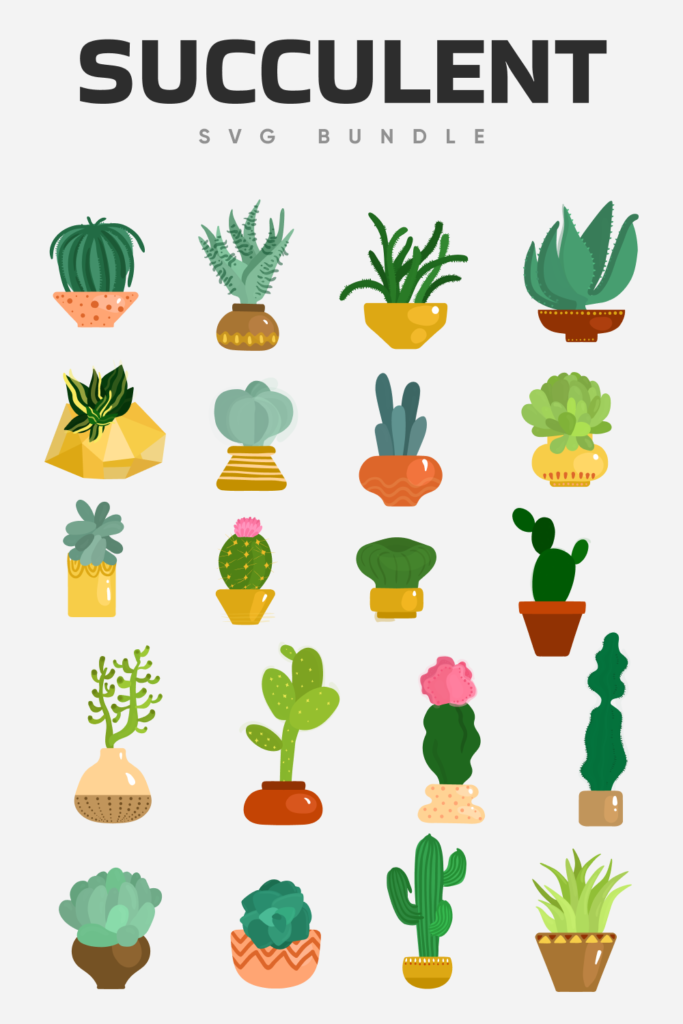 Succulent SVG Bundle – MasterBundles
