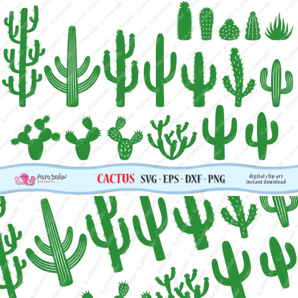 Cactus SVG – MasterBundles