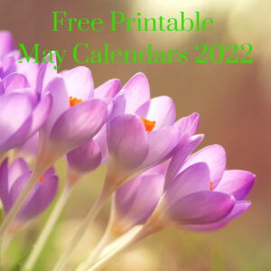 Free Printable May Calendars – MasterBundles