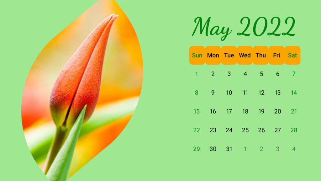 Free Printable May Calendars – MasterBundles