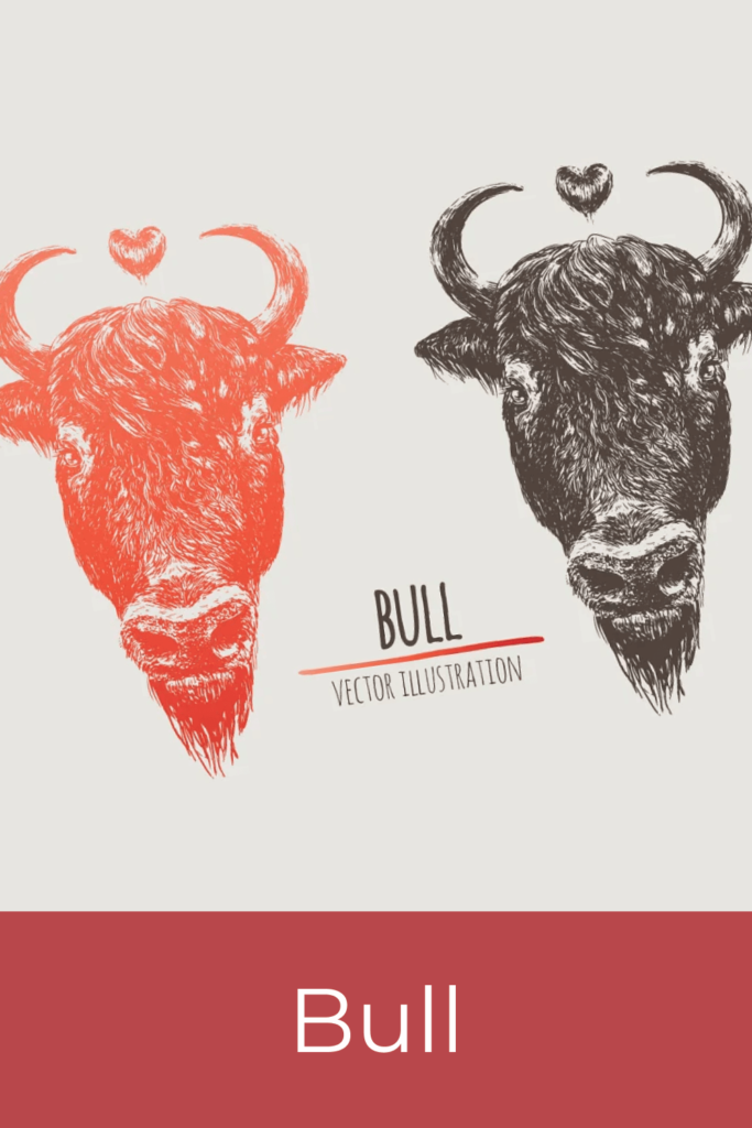 Bull Illustrations – MasterBundles