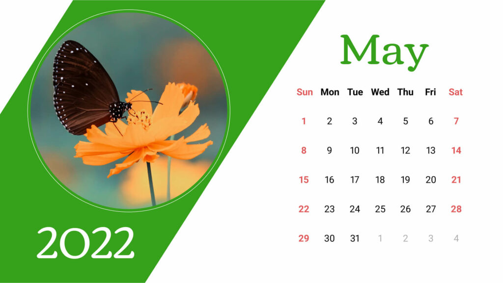 Free Printable May Calendars – MasterBundles