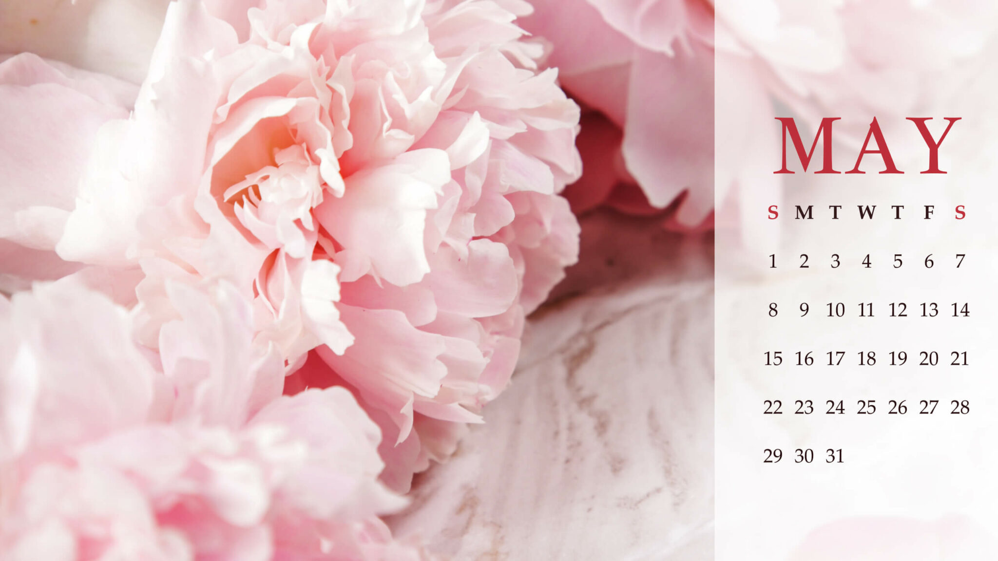 Free Peony Editable May Calendar – MasterBundles