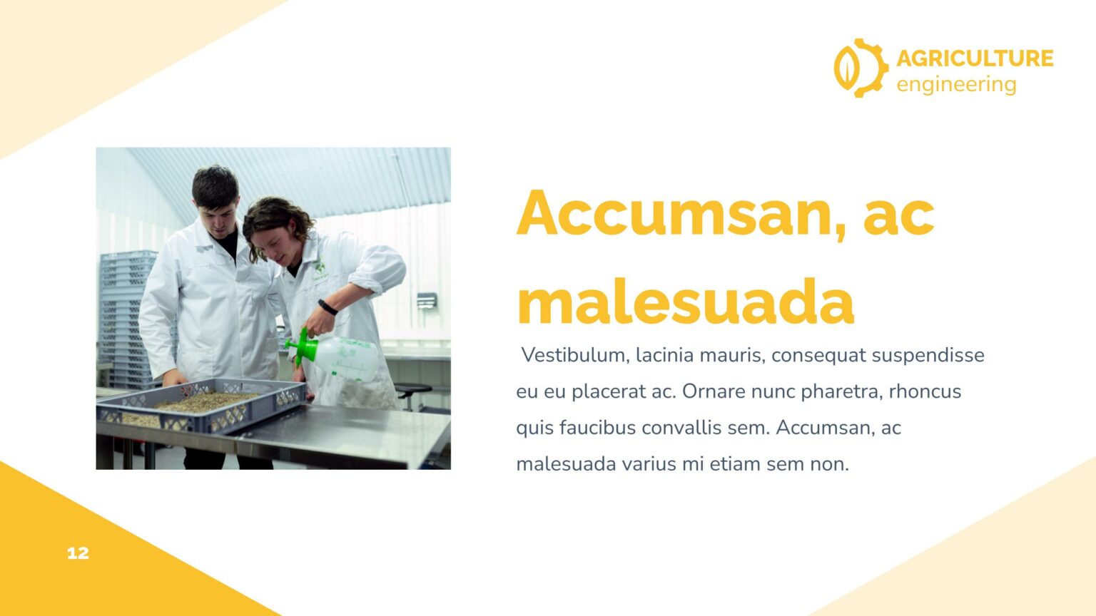 Agriculture Engineering Presentation Template – MasterBundles