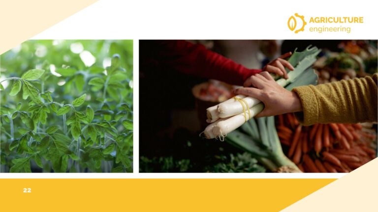 Agriculture Engineering Presentation Template – MasterBundles